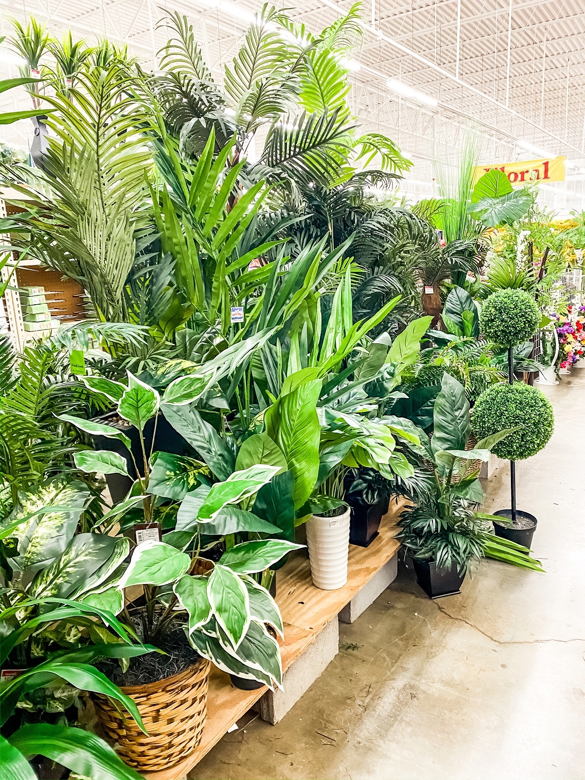How to Add Greenery to Your Home This Spring - Vogue for Breakfast